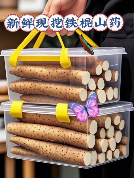 铁棍山药哪里产地最正宗_正宗铁棍山药产地是哪里-第1张图片-山城妙识
