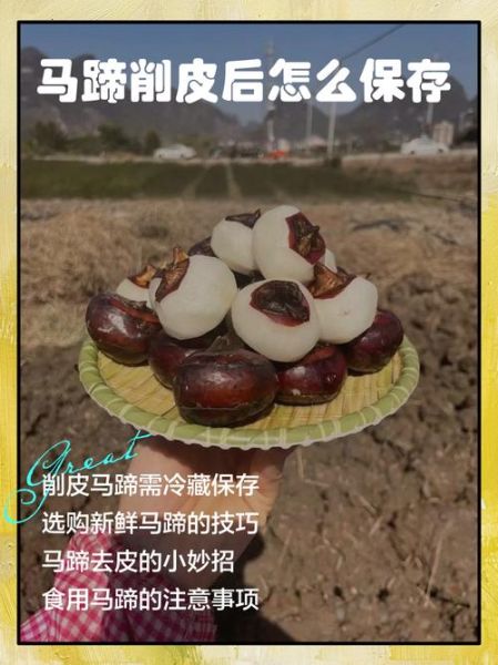 马蹄怎么去皮最快_马蹄最简单的做法-第1张图片-山城妙识