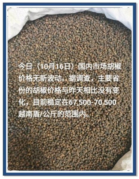 黑胡椒价格今日多少钱一斤_黑胡椒价格为何波动这么大-第1张图片-山城妙识
