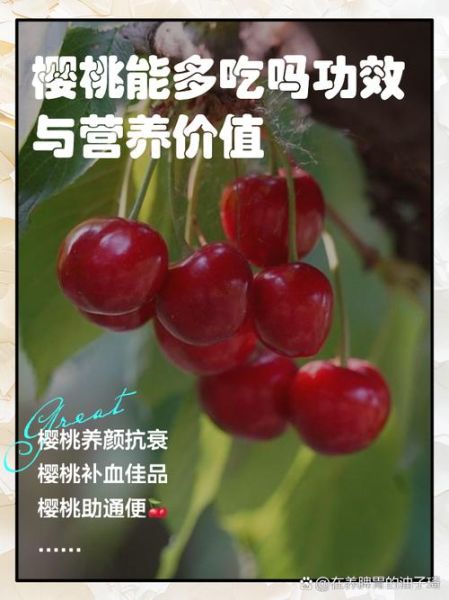 樱桃的功效与作用_吃樱桃会上火吗-第2张图片-山城妙识