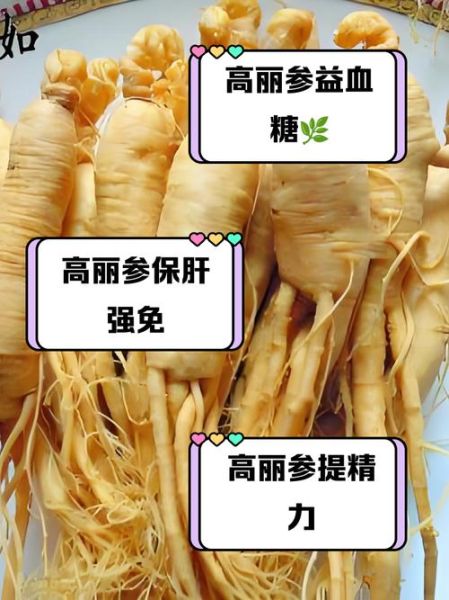 高丽参怎么吃最好_高丽参的正确吃法-第3张图片-山城妙识