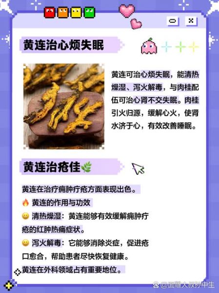 黄连的功效与作用_黄连主治哪些病-第2张图片-山城妙识