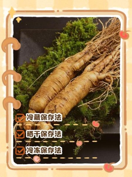 鲜人参怎么吃_鲜人参怎么保存-第1张图片-山城妙识