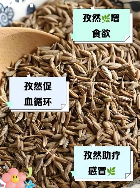 孜然的功效与作用_孜然能减肥吗-第3张图片-山城妙识