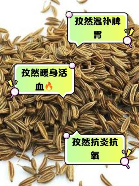 孜然的功效与作用_孜然能减肥吗-第2张图片-山城妙识