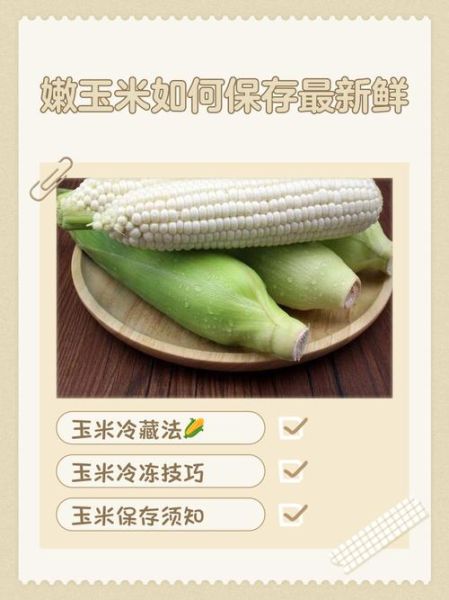 鲜玉米怎么保存时间长_玉米冷藏冷冻技巧-第3张图片-山城妙识