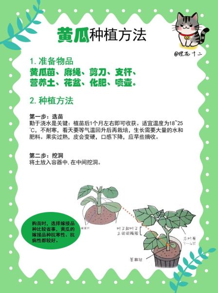 黄瓜什么时候种最合适_黄瓜种植步骤详解-第1张图片-山城妙识