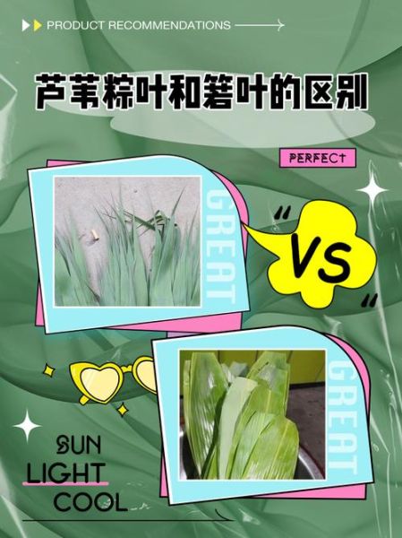 像粽叶的植物有哪些_如何辨别粽叶与相似植物-第1张图片-山城妙识