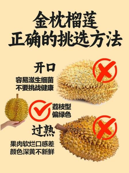 金枕榴莲的功效与作用_金枕榴莲上火吗-第1张图片-山城妙识