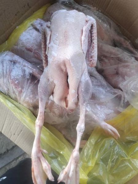 鹅肉多少钱一斤_鹅肉价格走势-第2张图片-山城妙识