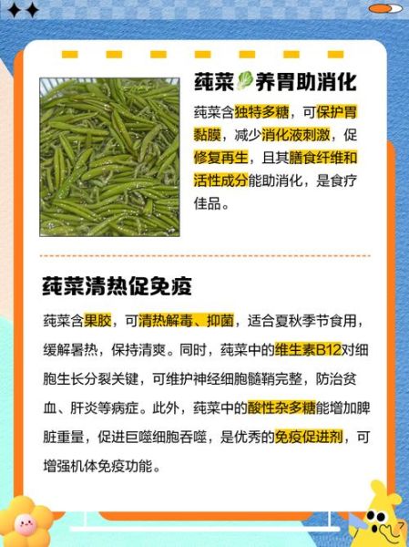 莼菜有什么功效_莼菜怎么吃最养生-第1张图片-山城妙识