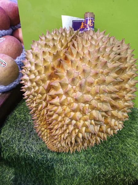金枕榴莲的功效与作用_金枕榴莲上火吗-第2张图片-山城妙识