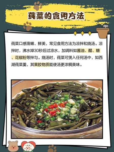 莼菜有什么功效_莼菜怎么吃最养生-第2张图片-山城妙识