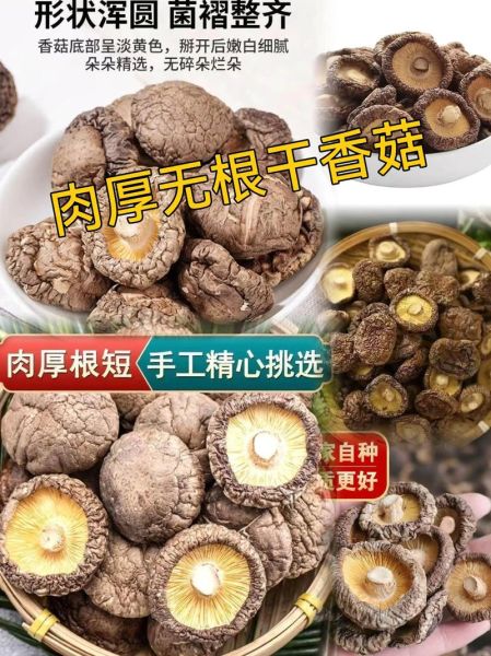 香菇市场价多少钱一斤_干鲜价差怎么这么大-第3张图片-山城妙识