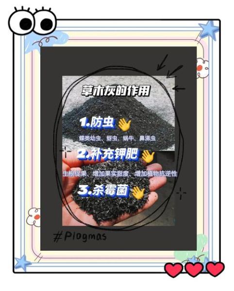 草木灰是什么肥料_草木灰怎么用效果最好-第1张图片-山城妙识 草木灰是什么肥料_草木灰怎么用效果最好-第1张图片-山城妙识
