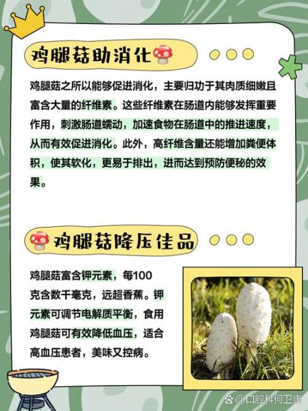 鸡腿菇的功效与作用禁忌_什么人不能吃-第1张图片-山城妙识