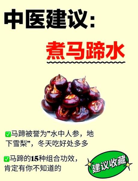 马蹄的功效与作用_马蹄能治什么病-第2张图片-山城妙识