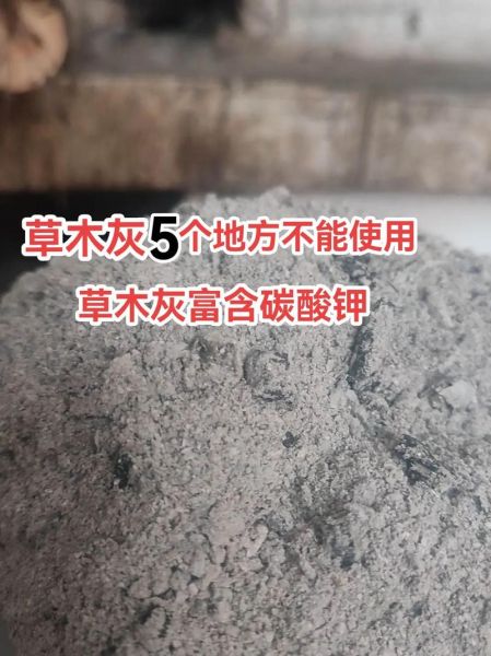 草木灰是什么肥料_草木灰怎么用效果最好-第3张图片-山城妙识 草木灰是什么肥料_草木灰怎么用效果最好-第3张图片-山城妙识