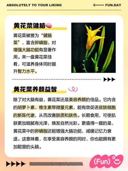 鲜黄花菜怎么吃_鲜黄花菜怎么处理去毒-第1张图片-山城妙识 鲜黄花菜怎么吃_鲜黄花菜怎么处理去毒-第1张图片-山城妙识