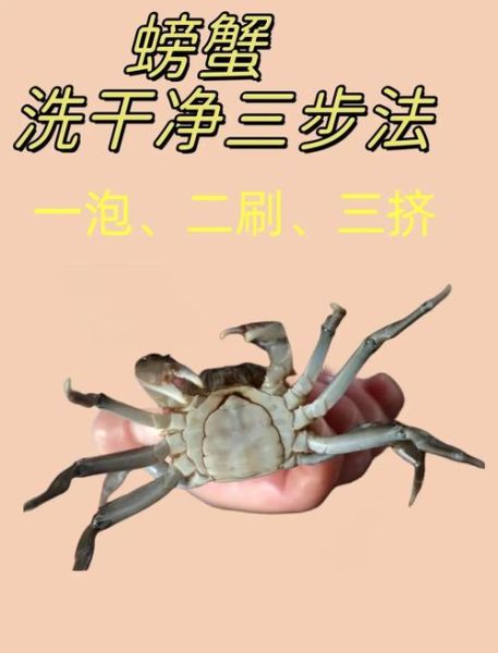 小螃蟹怎么清洗_小螃蟹清洗步骤-第2张图片-山城妙识