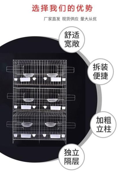 鸽子笼子图片大全_如何挑选合适尺寸-第1张图片-山城妙识