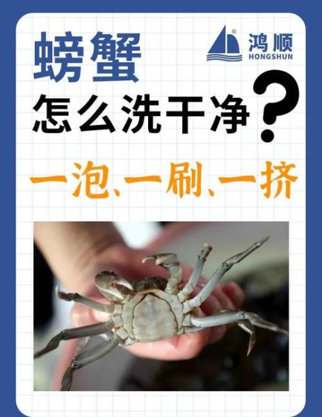 螃蟹怎么清洗干净内脏_螃蟹清洗内脏的详细步骤-第1张图片-山城妙识