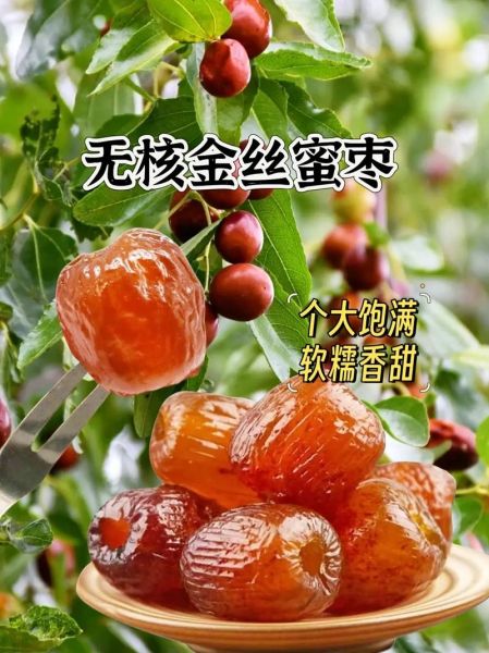 蜜枣怎么保存时间长_蜜枣和红枣的区别-第1张图片-山城妙识 蜜枣怎么保存时间长_蜜枣和红枣的区别-第1张图片-山城妙识