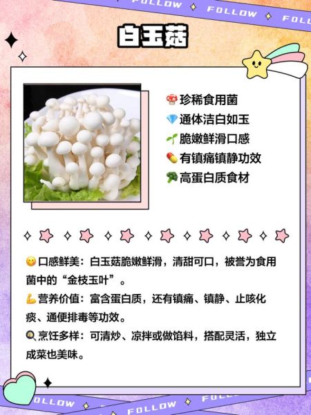 白菇的功效与作用_白菇怎么做好吃-第1张图片-山城妙识 白菇的功效与作用_白菇怎么做好吃-第1张图片-山城妙识