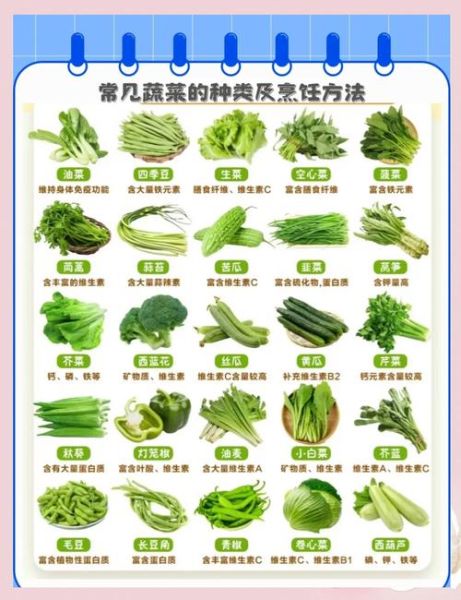 蔬菜图片名称大全_如何快速识别常见蔬菜-第1张图片-山城妙识