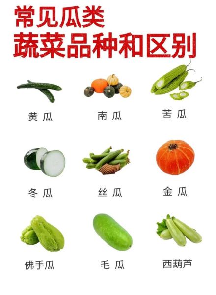 蔬菜图片名称大全_如何快速识别常见蔬菜-第3张图片-山城妙识
