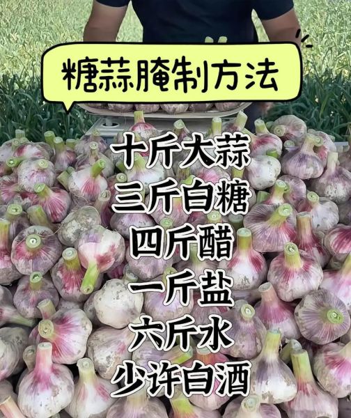 糖蒜怎么腌制才脆_正宗糖蒜做法窍门-第2张图片-山城妙识 糖蒜怎么腌制才脆_正宗糖蒜做法窍门-第2张图片-山城妙识
