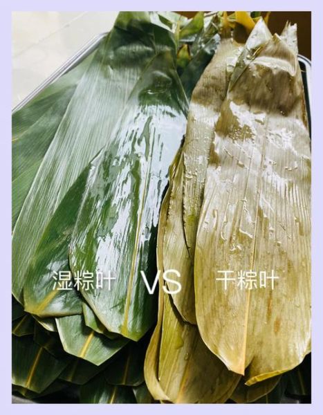 粽子叶图片怎么选_新鲜粽叶和干粽叶区别-第1张图片-山城妙识 粽子叶图片怎么选_新鲜粽叶和干粽叶区别-第1张图片-山城妙识