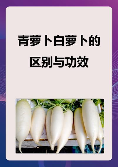 青萝卜的营养价值_青萝卜有哪些功效-第3张图片-山城妙识 青萝卜的营养价值_青萝卜有哪些功效-第3张图片-山城妙识