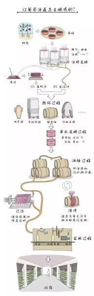 葡萄酒怎么酿造_葡萄酒酿造全过程详解-第1张图片-山城妙识
