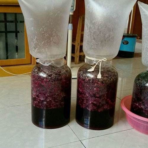 葡萄酒怎么酿造_葡萄酒酿造全过程详解-第3张图片-山城妙识