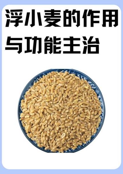 浮小麦的功效与作用_浮小麦和淮小麦的区别-第3张图片-山城妙识