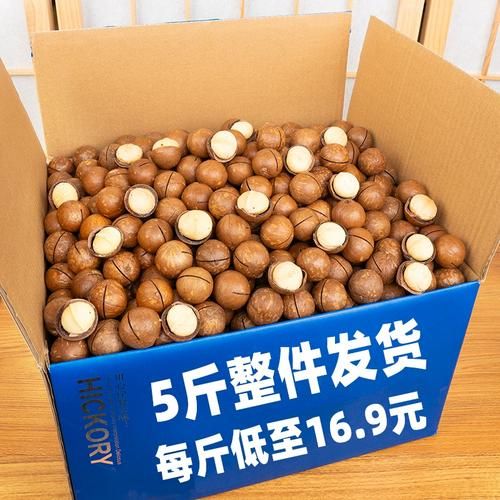 夏威夷果多少钱一斤_夏威夷果价格为什么差别大-第1张图片-山城妙识