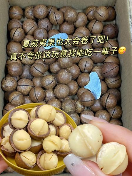 夏威夷果多少钱一斤_夏威夷果价格为什么差别大-第2张图片-山城妙识