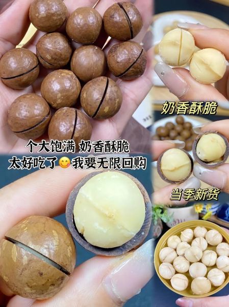 夏威夷果多少钱一斤_夏威夷果价格为什么差别大-第3张图片-山城妙识