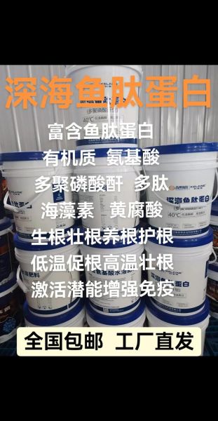 鱼胶原蛋白肽的功效与作用_鱼胶原蛋白肽什么时候吃最好-第2张图片-山城妙识