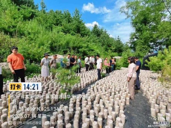 香菇种植技术培训班多少钱_香菇种植技术培训班哪家好-第2张图片-山城妙识