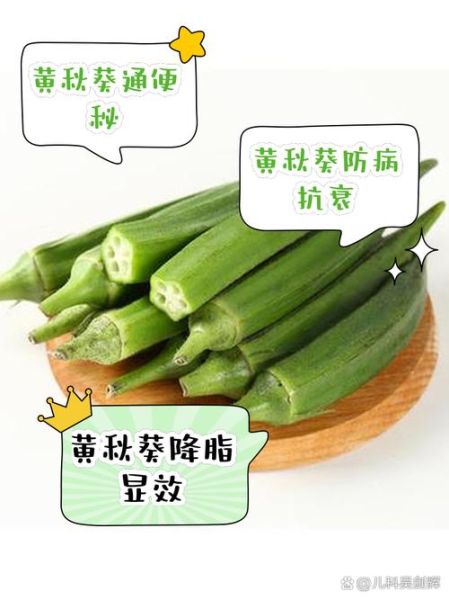 黄秋葵叶能吃吗_黄秋葵叶的功效与作用-第1张图片-山城妙识 黄秋葵叶能吃吗_黄秋葵叶的功效与作用-第1张图片-山城妙识