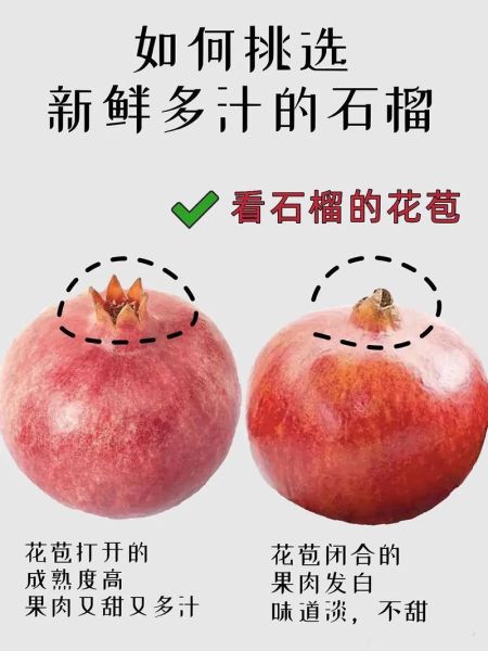 石榴是凉性还是热性_吃石榴上火吗-第3张图片-山城妙识