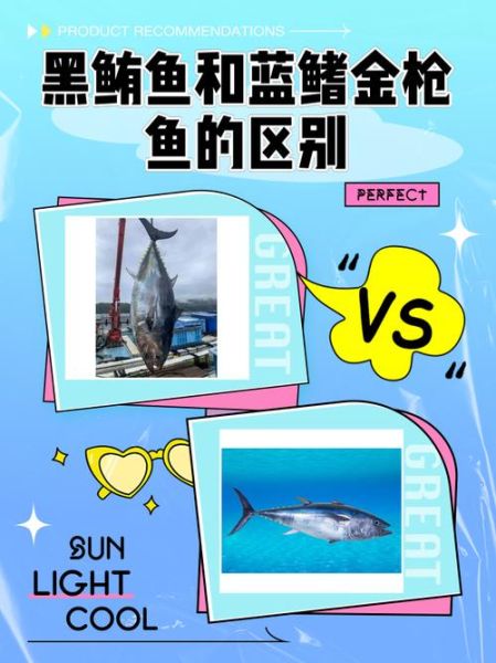 鲭鱼是什么鱼_鲭鱼和金枪鱼区别-第1张图片-山城妙识 鲭鱼是什么鱼_鲭鱼和金枪鱼区别-第1张图片-山城妙识