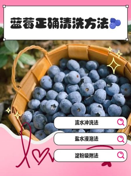 蓝莓怎么洗干净才能吃_蓝莓清洗的正确方法-第1张图片-山城妙识