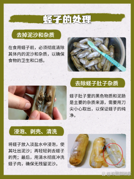 蛏子怎么清洗内脏_蛏子去内脏视频教程-第1张图片-山城妙识 蛏子怎么清洗内脏_蛏子去内脏视频教程-第1张图片-山城妙识