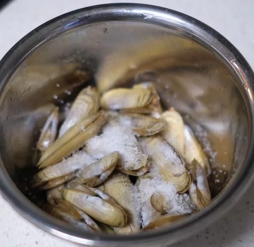 蛏子怎么清洗内脏_蛏子去内脏视频教程-第3张图片-山城妙识 蛏子怎么清洗内脏_蛏子去内脏视频教程-第3张图片-山城妙识