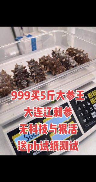 辽刺参和海参的区别_辽刺参是海参吗-第2张图片-山城妙识