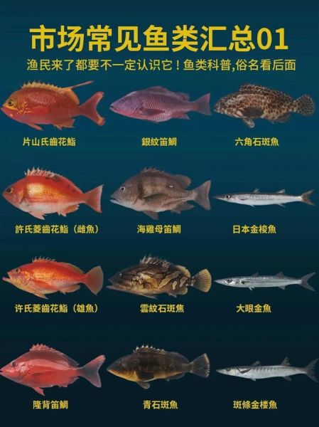 海洋鱼类图鉴大全_如何识别常见海鱼-第3张图片-山城妙识
