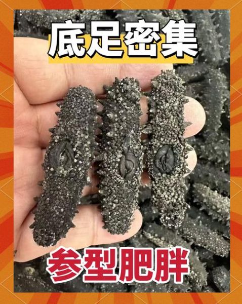 辽刺参和海参的区别_辽刺参是海参吗-第1张图片-山城妙识